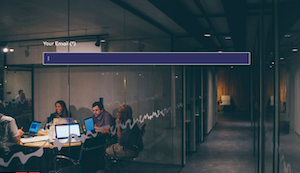 Work with us form template | Formaloo